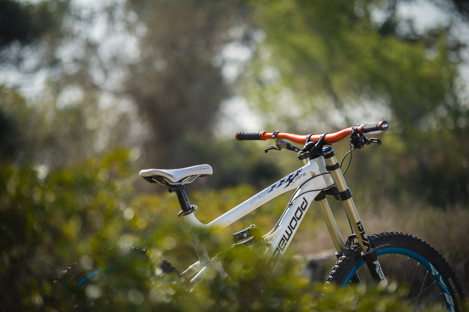 Miss Zama 3 - iceman2058's Bike Check - Vital MTB