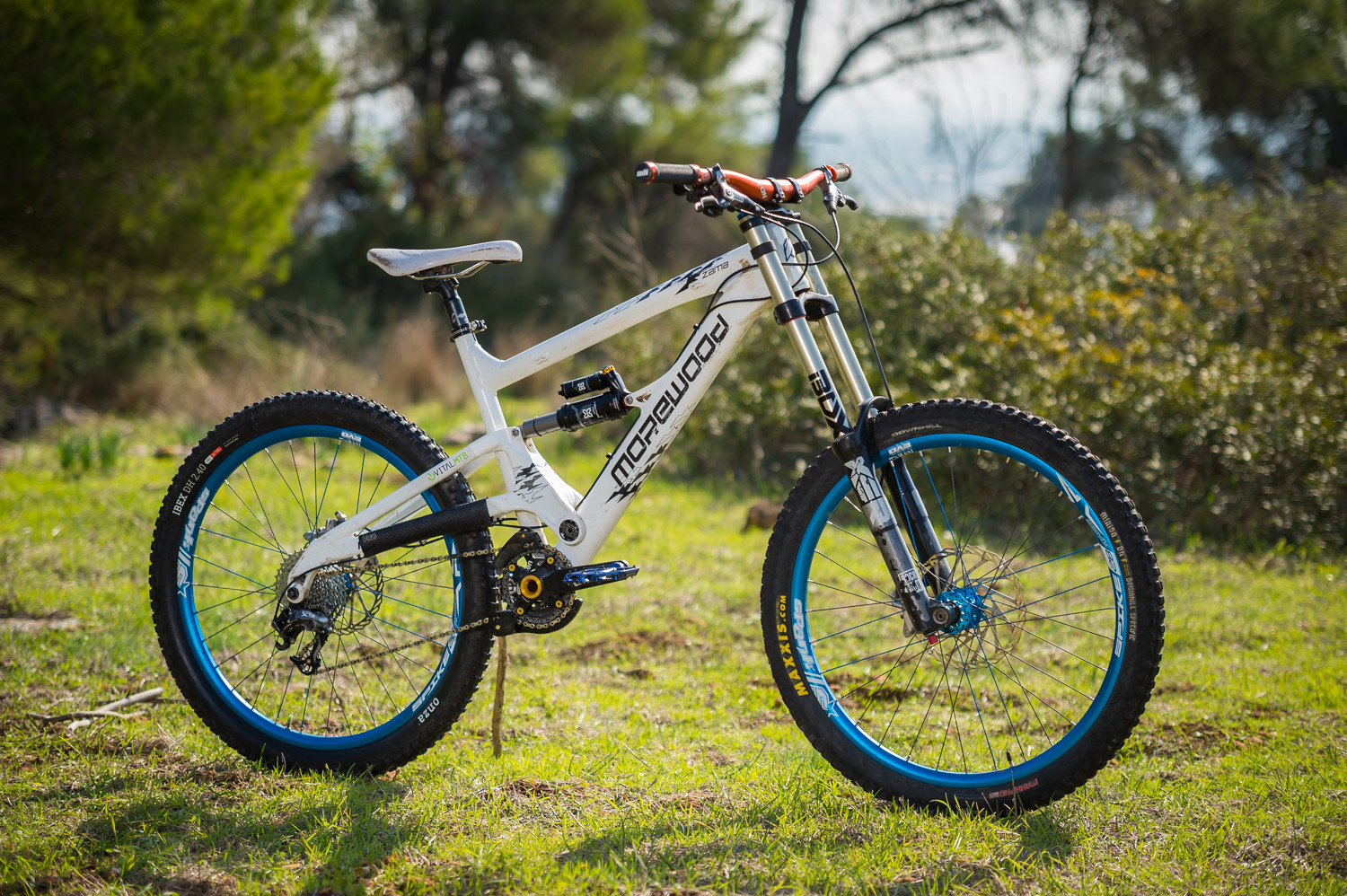 Miss Zama 3 - iceman2058's Bike Check - Vital MTB