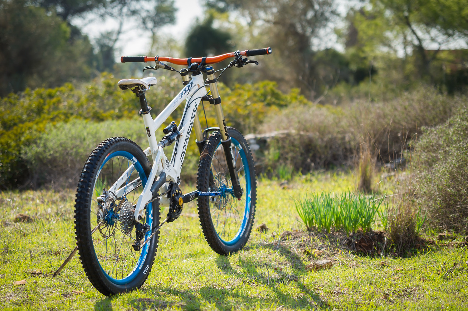 Miss Zama 3 - iceman2058's Bike Check - Vital MTB