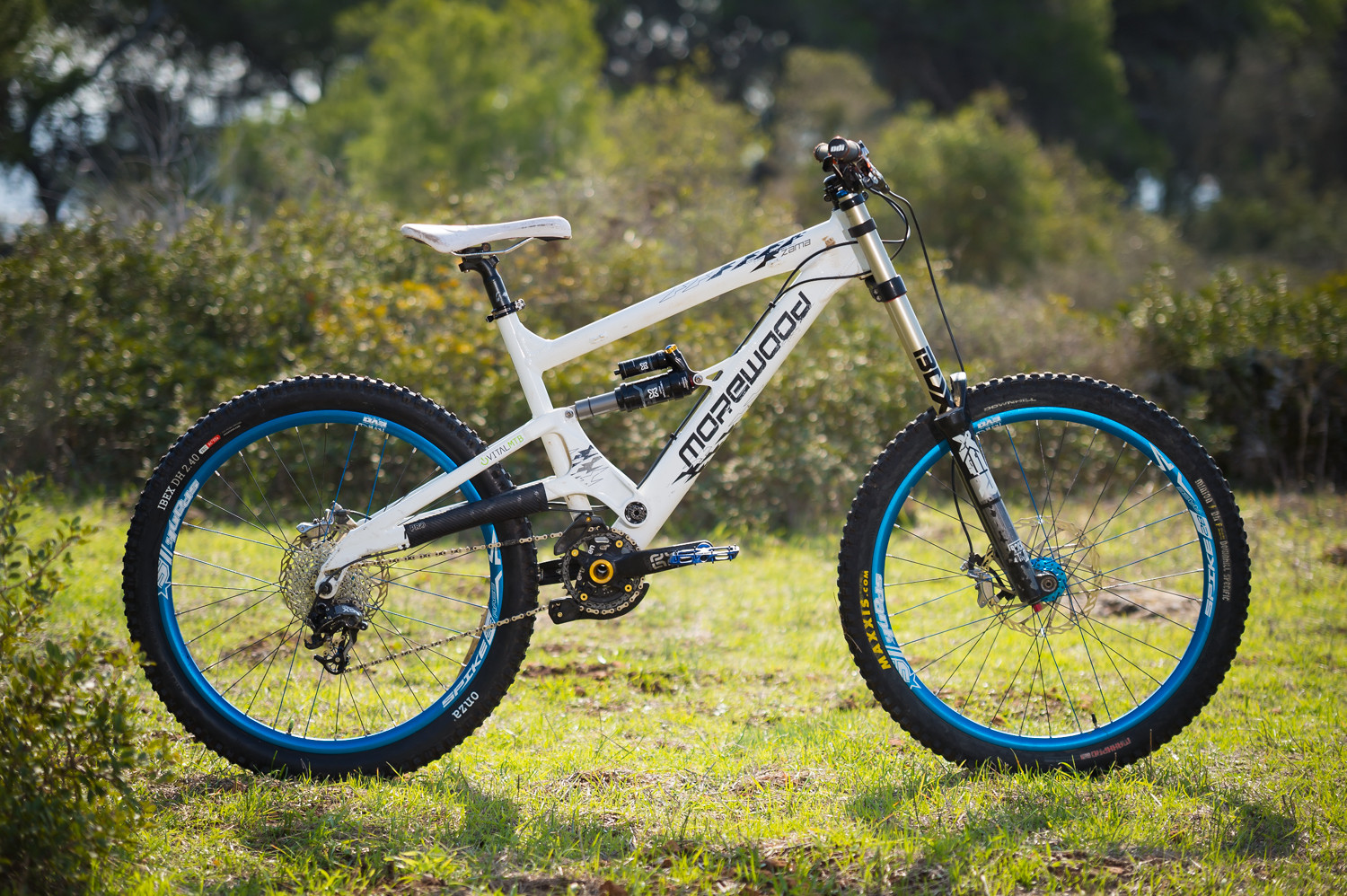 Miss Zama 3 - iceman2058's Bike Check - Vital MTB