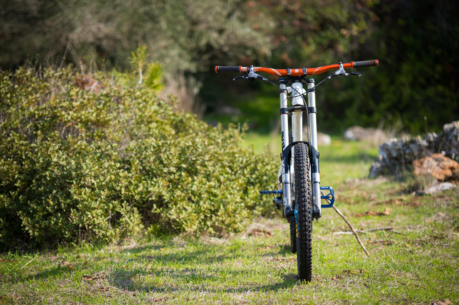 Miss Zama 3 - iceman2058's Bike Check - Vital MTB