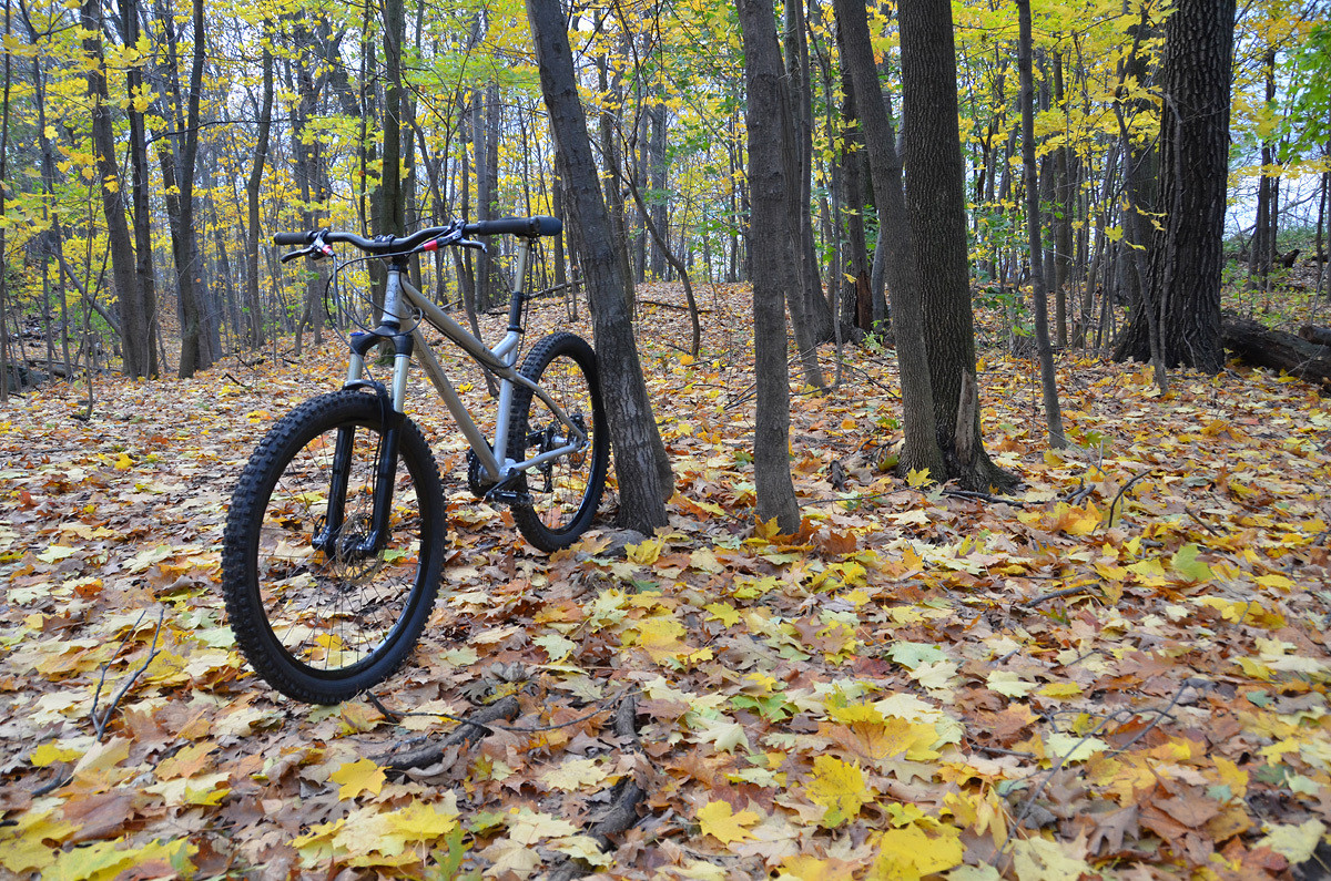 Evil sovereign v1 - mp's Bike Check - Vital MTB