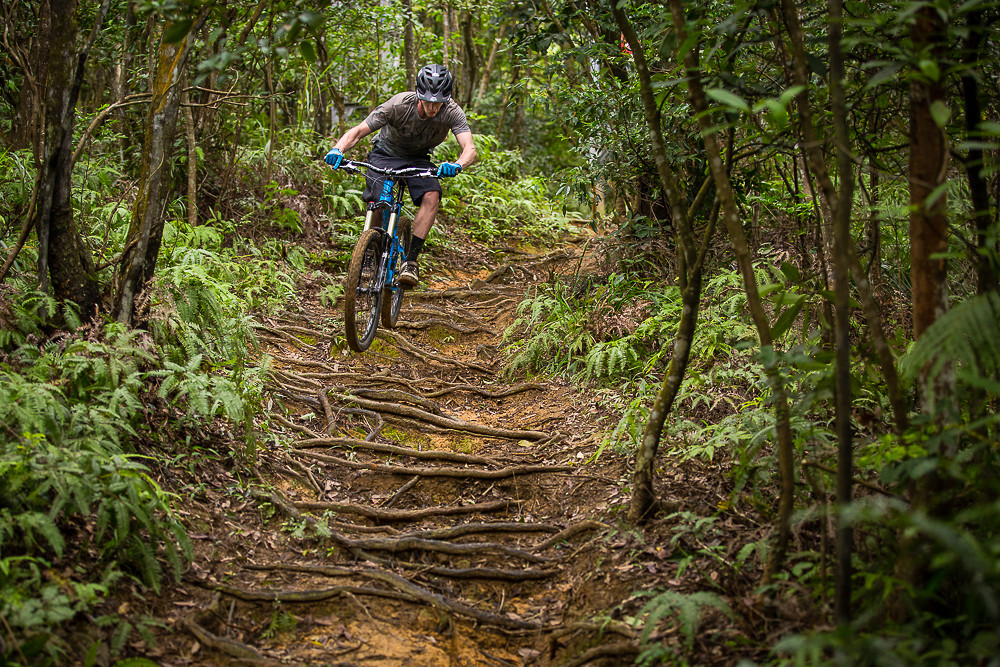 Taipei City Roots - LTrumpore - Mountain Biking Pictures - Vital MTB