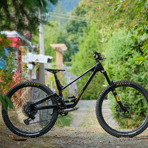 Bike Checks | Vital MTB