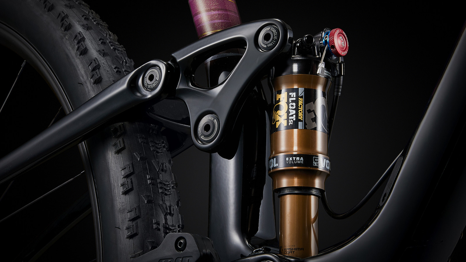 Reach New Piques - Introducing The All-New LIV Pique Advanced 29 ...