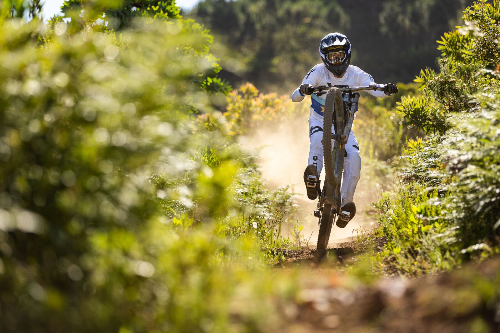 Andreas Kolb Joins The YT Mob - Mountain Bike Press Release - Vital MTB