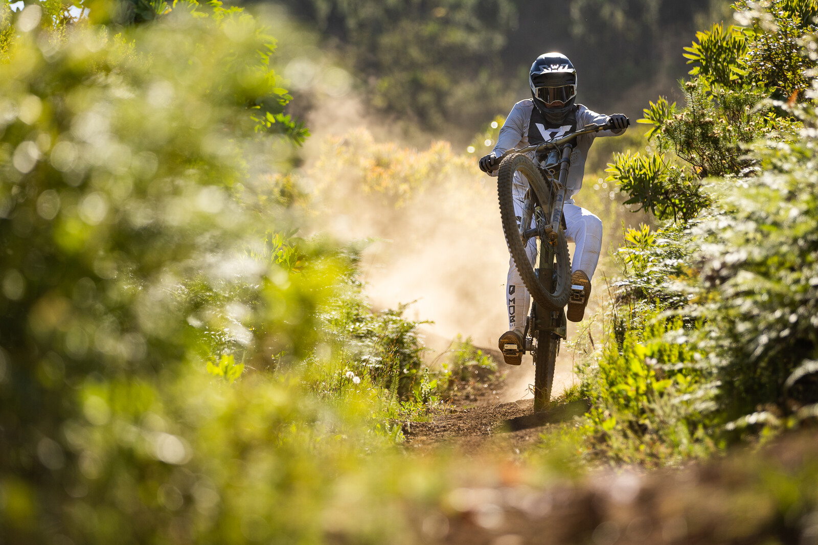 YT Mob Announce Kasper Woolley Moves From EDR To DH Team - Mountain ...
