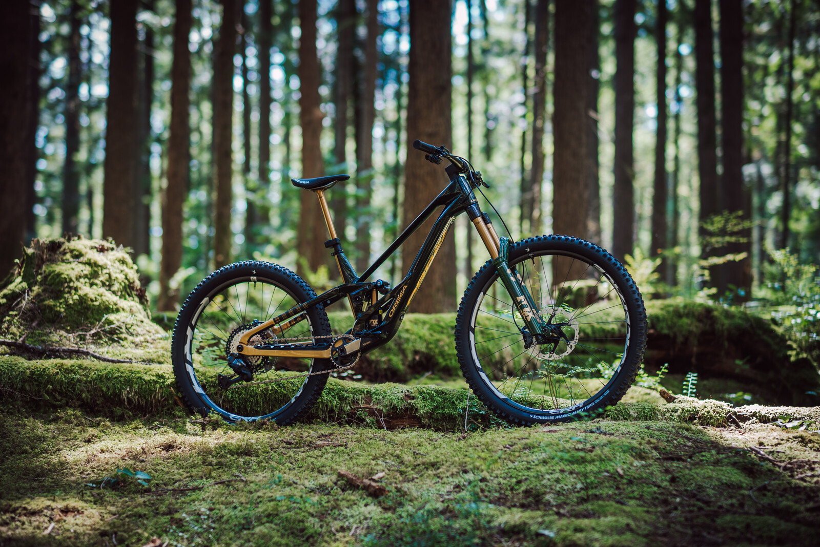 FOX Launches the Limited Edition Racing Green 38 - Mountain Bike Press ...