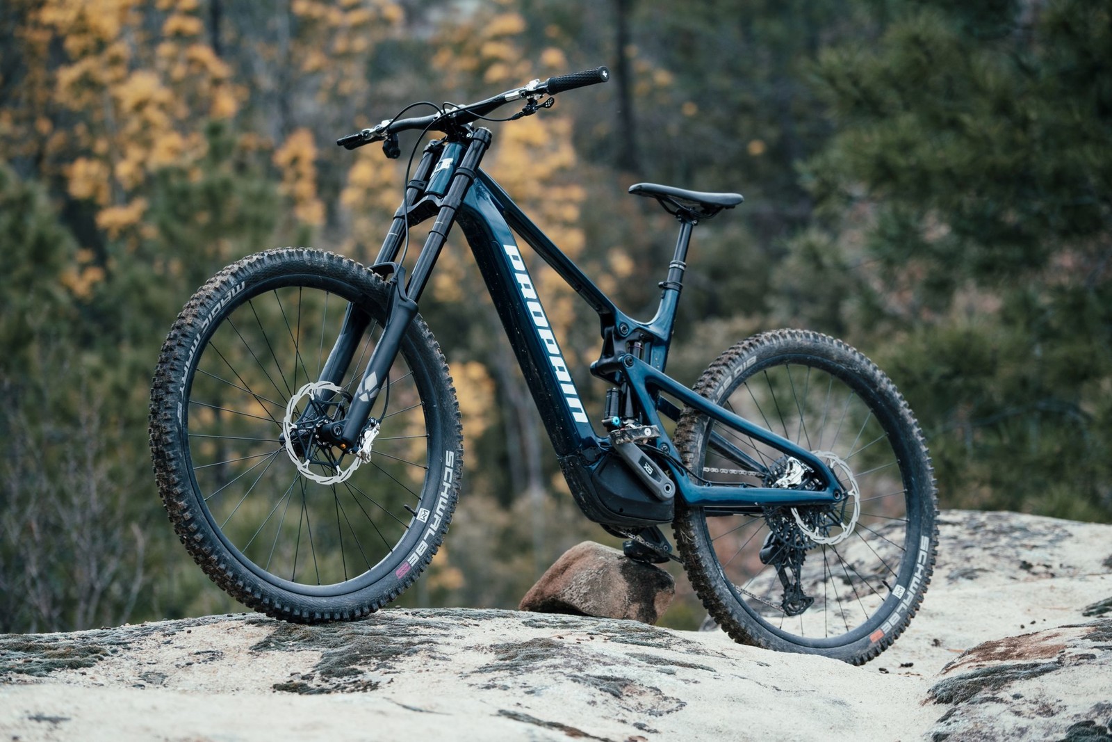 Introducing the Formula Belva - a Dual-Crown Enduro Fork - Mountain ...
