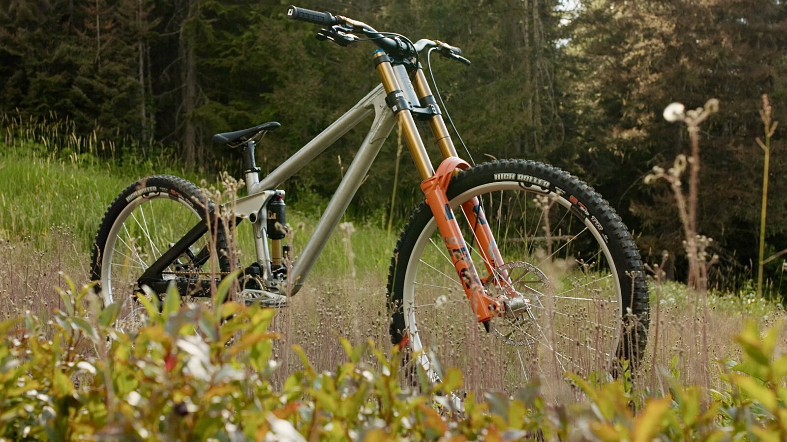Home Grown - Frameworks DH Bike Tested - Mountain Bike Feature - Vital MTB