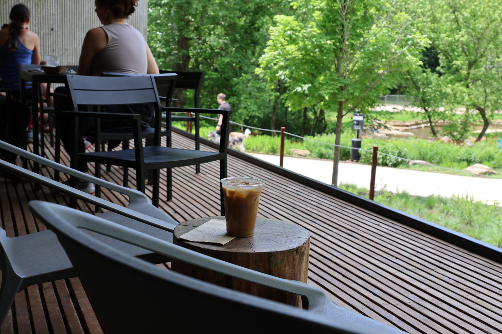 5 Reasons to Camp at Coler MTB Preserve - Mountain Bike Blog Post ...