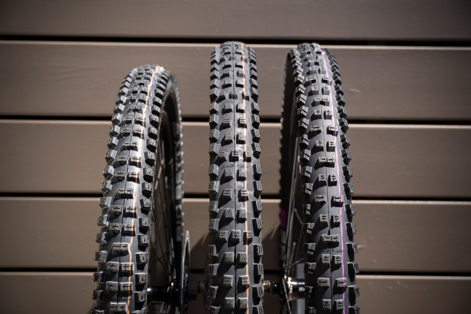 First Look: Schwalbe Tacky Chan Tire - Mountain Bike Feature - Vital MTB