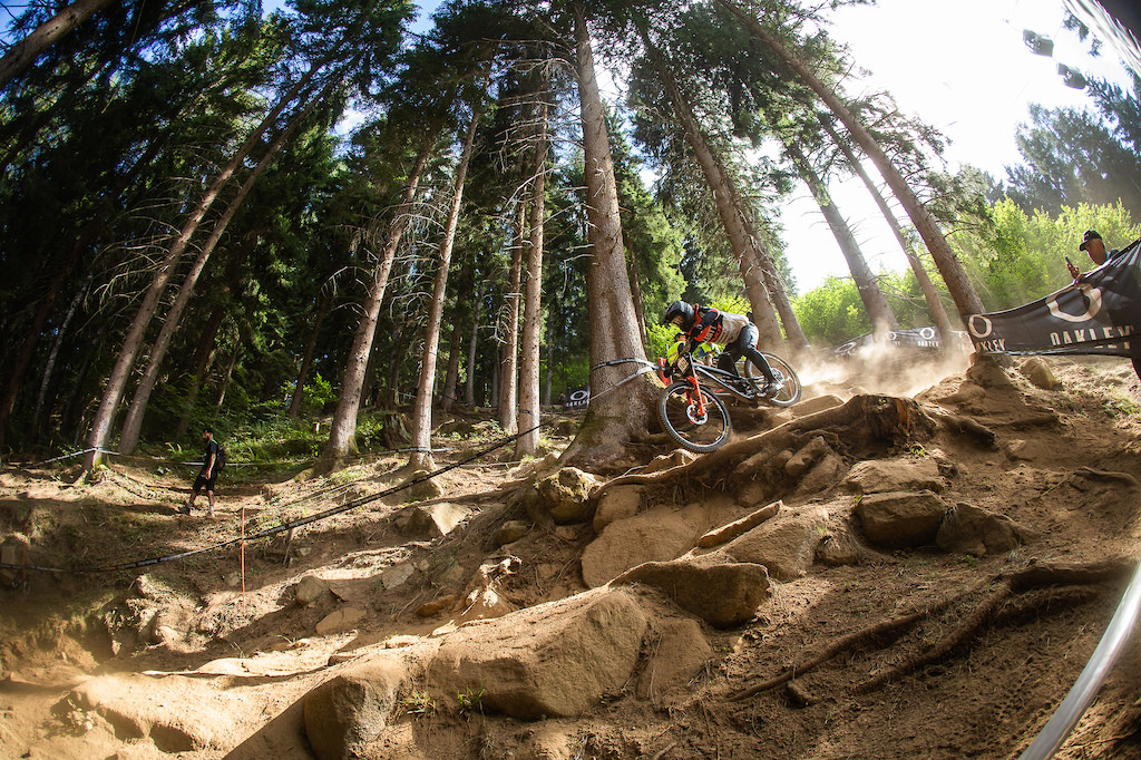 The New Panzer Insert - Mountain Bike Press Release - Vital MTB