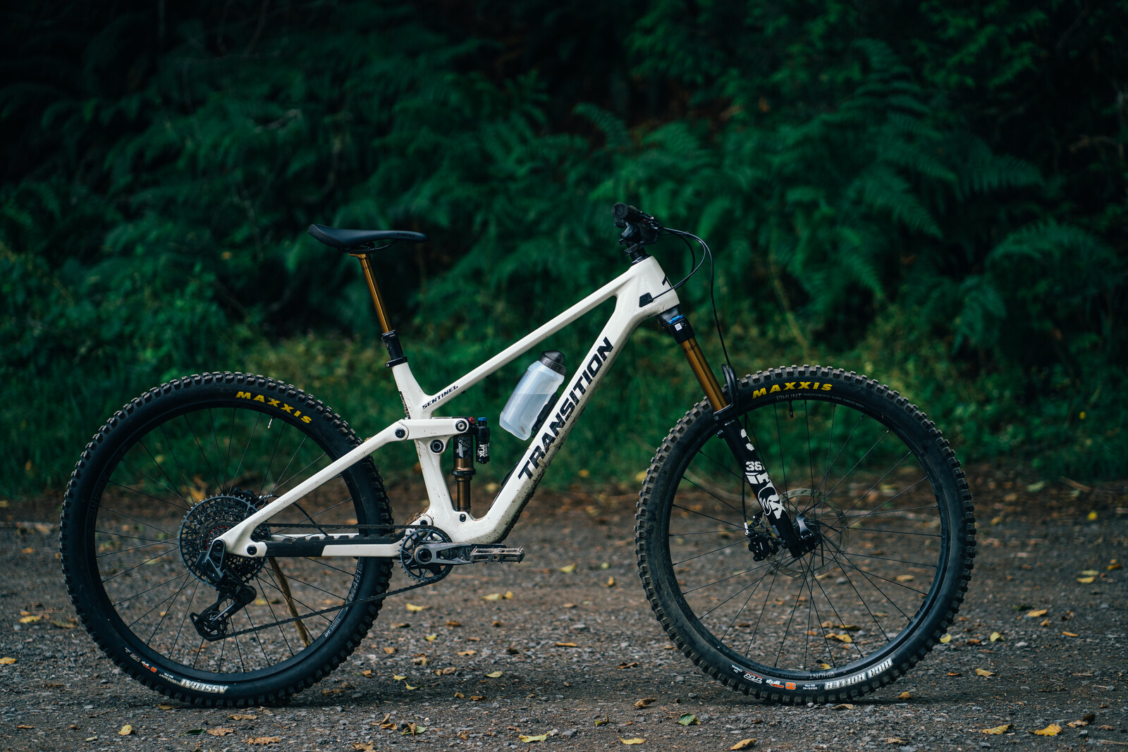 FIRST RIDE: Transition's Sentinel V3 - Mountain Bike Feature - Vital MTB