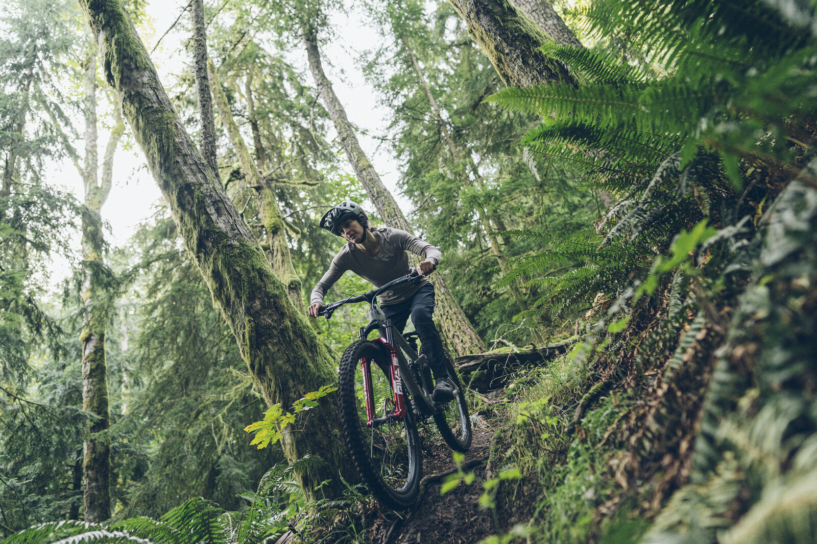 Guide to 2025 SRAM MTB Brakes - Motive, Maven, DB Models - Mountain ...