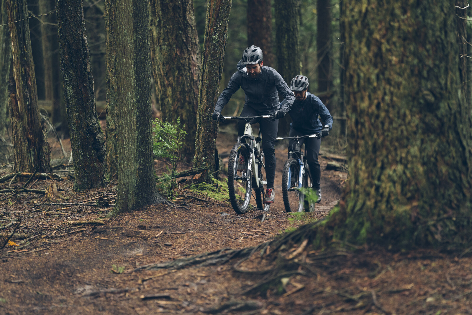 Guide to 2025 SRAM MTB Brakes - Motive, Maven, DB Models - Mountain Bike Feature - Vital MTB