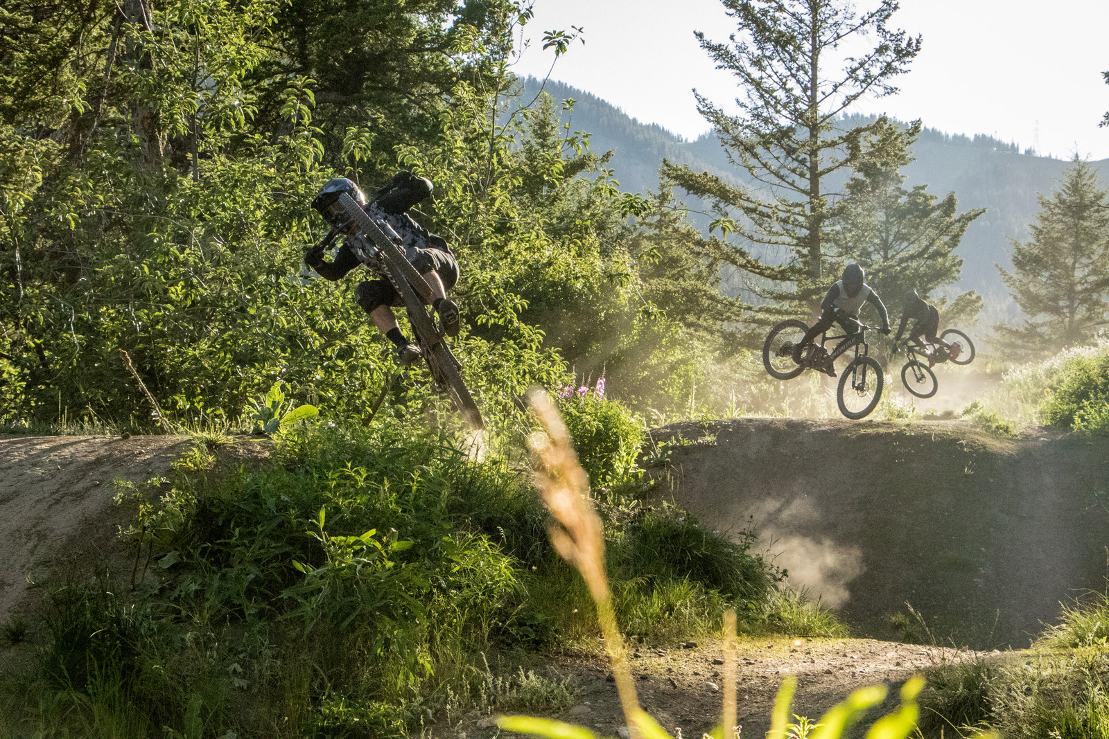 Rooted MTB: The Re-Introduction | Season 7 Prelude - Mountain Bike Blog ...