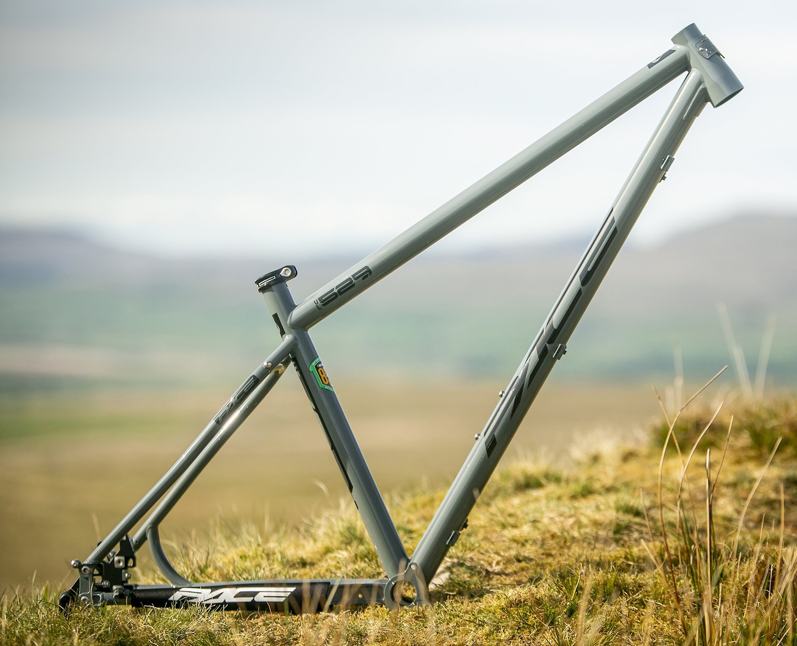 Pace RC529 Frame - Reviews, Comparisons, Specs - Frames - Vital MTB