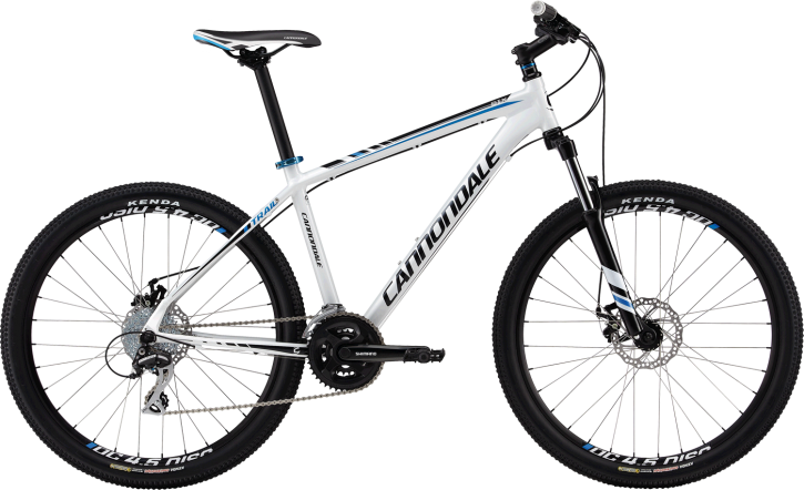 White cannondale mountain bike store