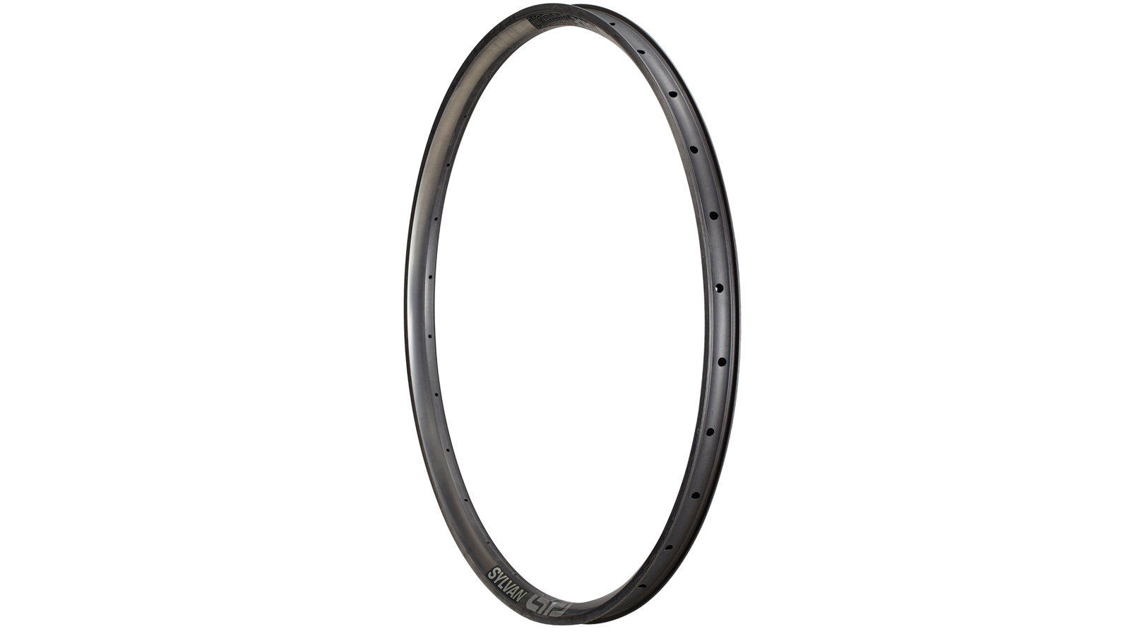 e*thirteen Sylvan Race Carbon All Mountain Rim - Reviews, Comparisons ...