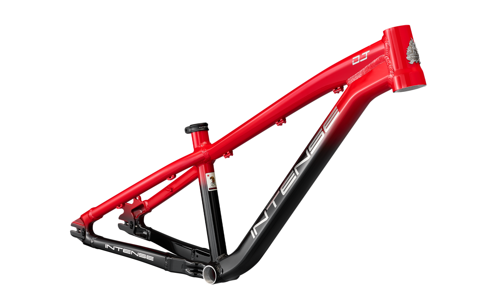 Intense DJ Frame - Reviews, Comparisons, Specs - Frames - Vital MTB