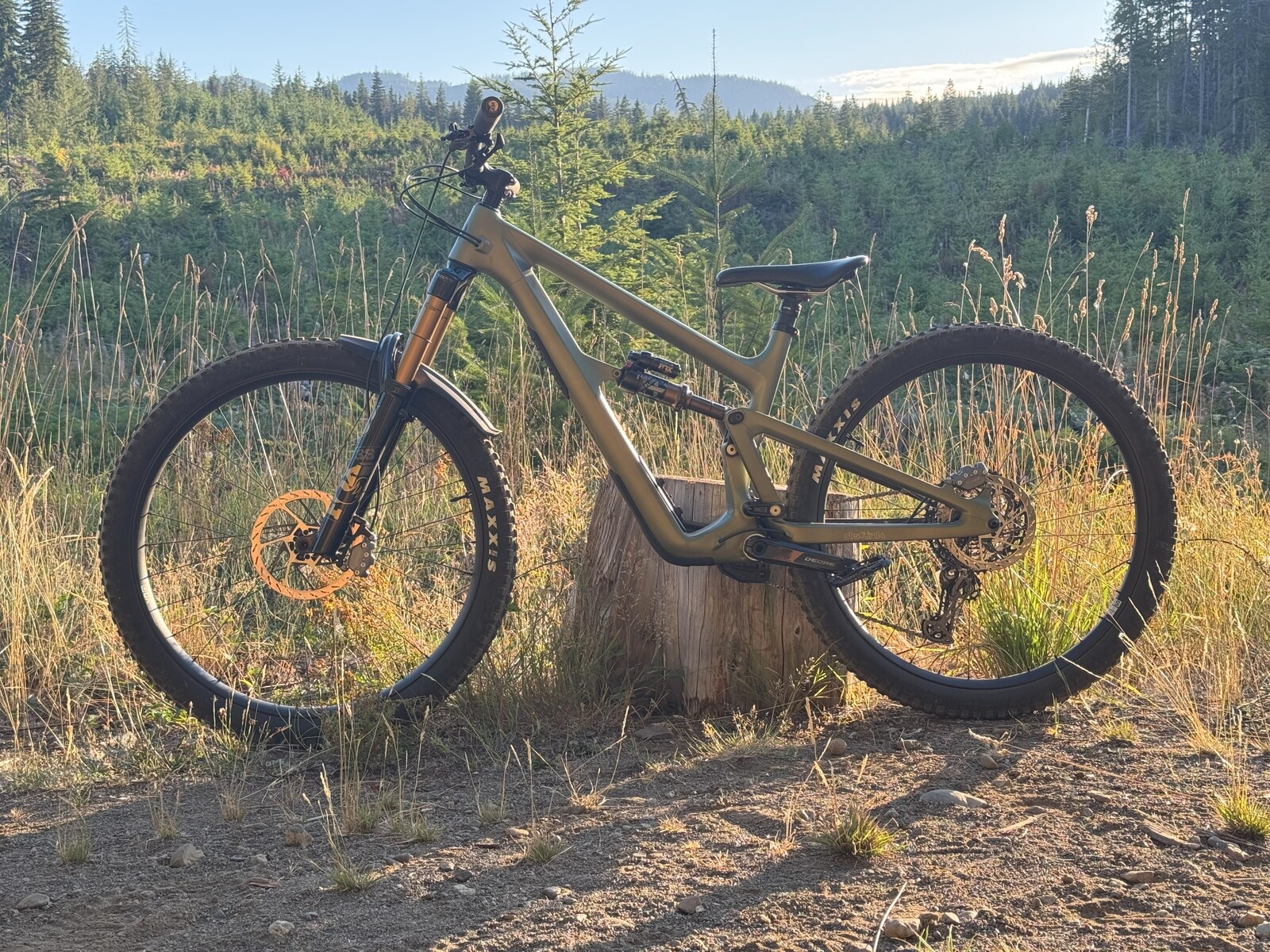 Ibis Ripmo V3 (Rippy the Ripmo) - AndyAndy's Bike Check - Vital MTB