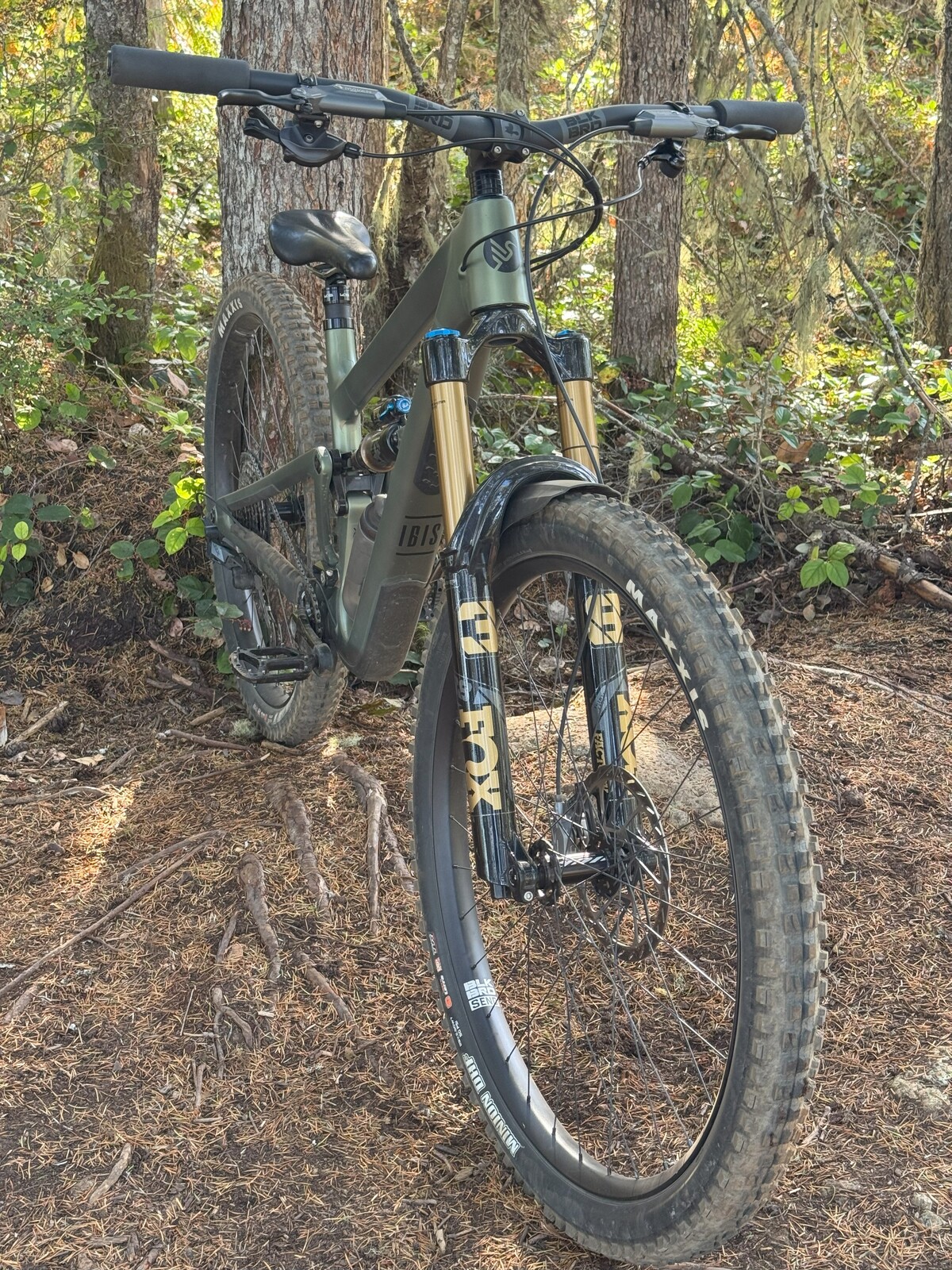 Ibis Ripmo V3 (Rippy the Ripmo) - AndyAndy's Bike Check - Vital MTB
