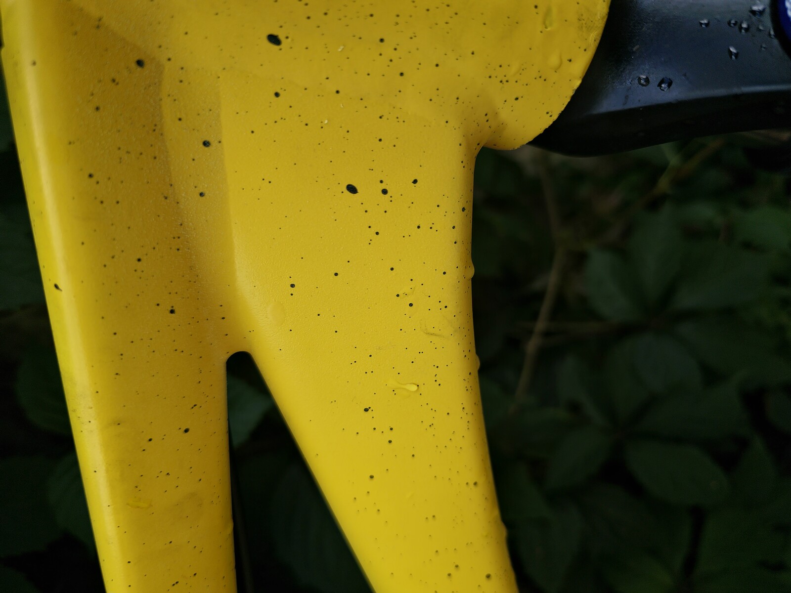 My custom-painted Radon Slush - gabikaa's Bike Check - Vital MTB