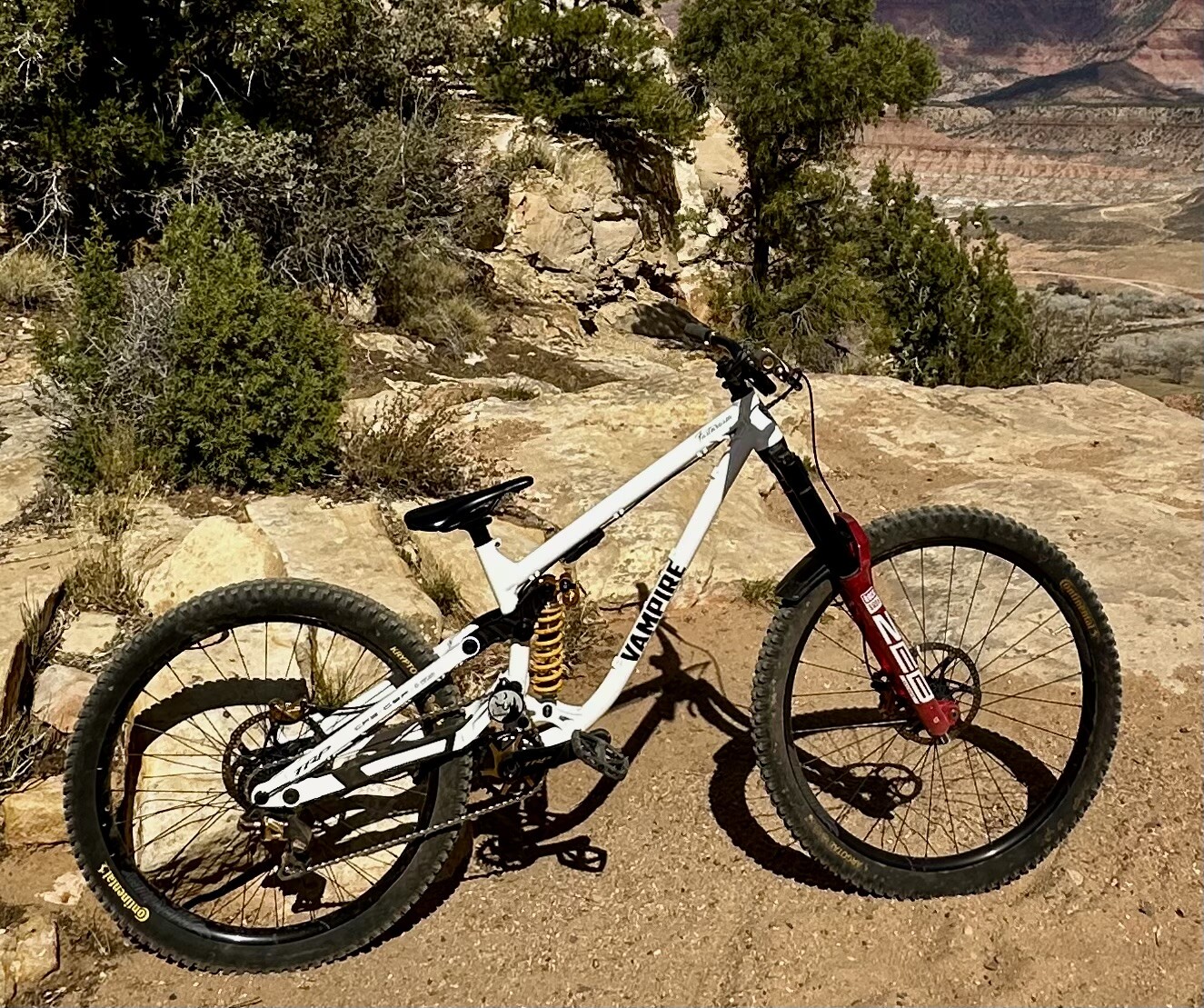 Vampire Fastarossa - ZROman's Bike Check - Vital MTB