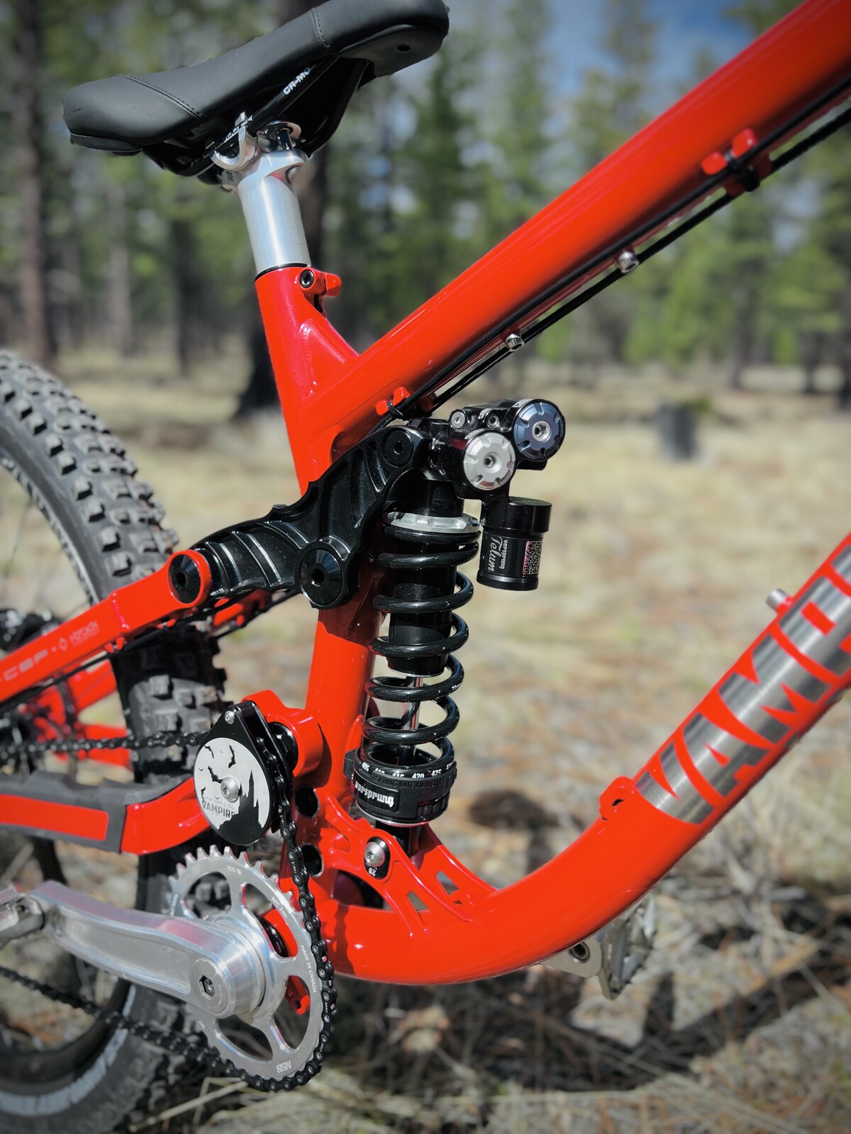 GC's Vampire Fastarossa - GCo's Bike Check - Vital MTB