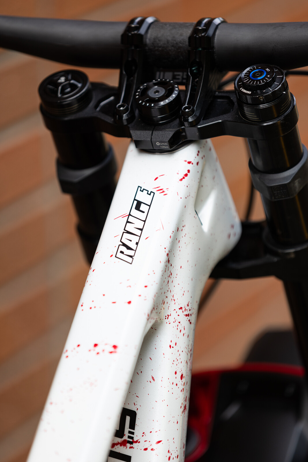 Custom Painted Norco Range DH - djklein's Bike Check - Vital MTB