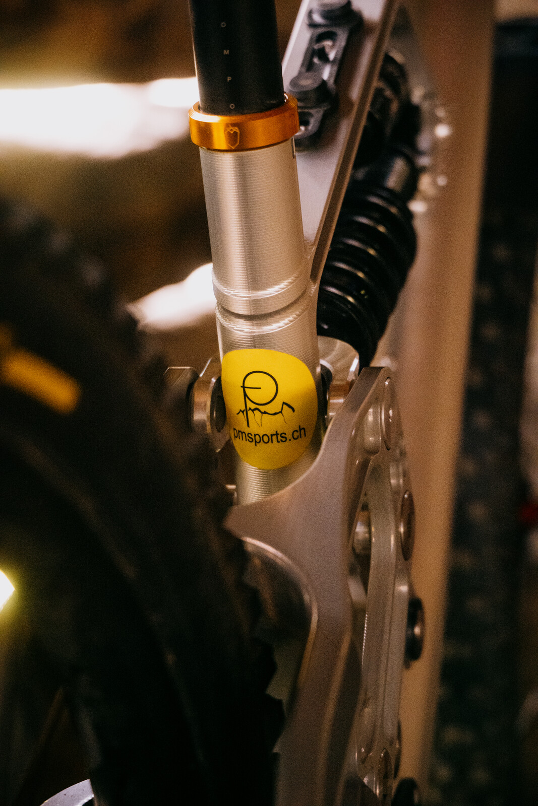 pmsports PIKA Prototype - pmsports.ch's Bike Check - Vital MTB
