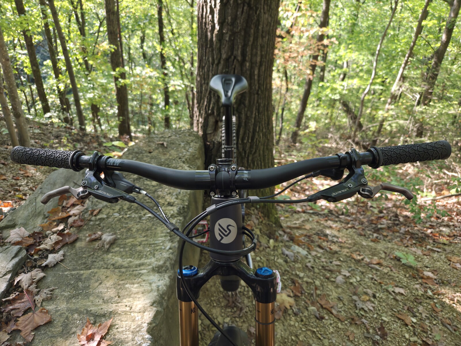 Ripmo V3 - Rebuilt - Carraig042's Bike Check - Vital MTB