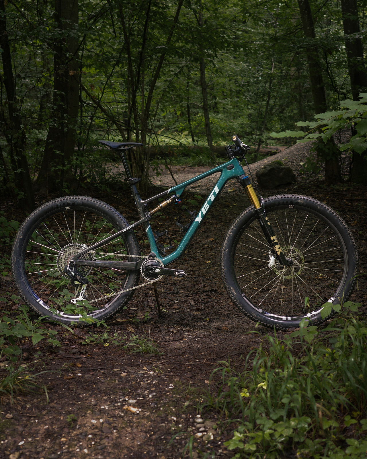 Custom Yeti ASR - giorgio-treadheads's Bike Check - Vital MTB