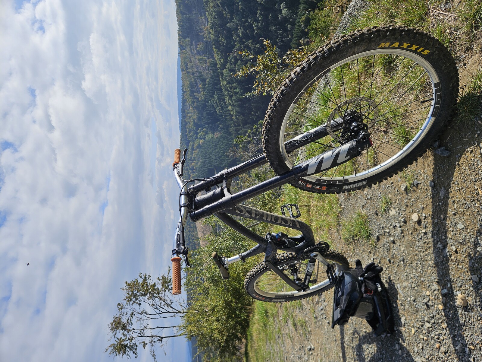 NS Fuzz 27.5 Custom Freeride/Park - henrikdengler's Bike Check - Vital MTB