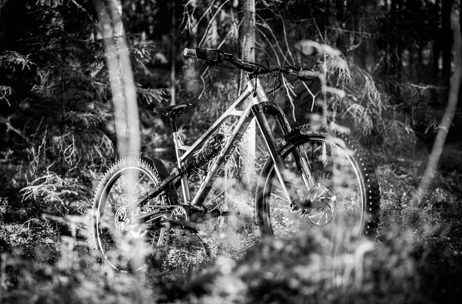 Geometron G1 GPI - Will_'s Bike Check - Vital MTB