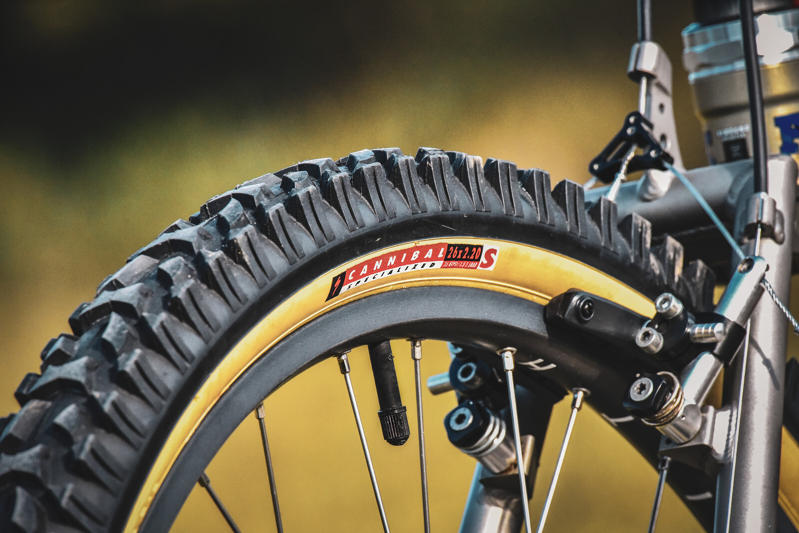 Jason McRoy's Specialized S-Works Team FSR - JDM's Bike Check - Vital MTB