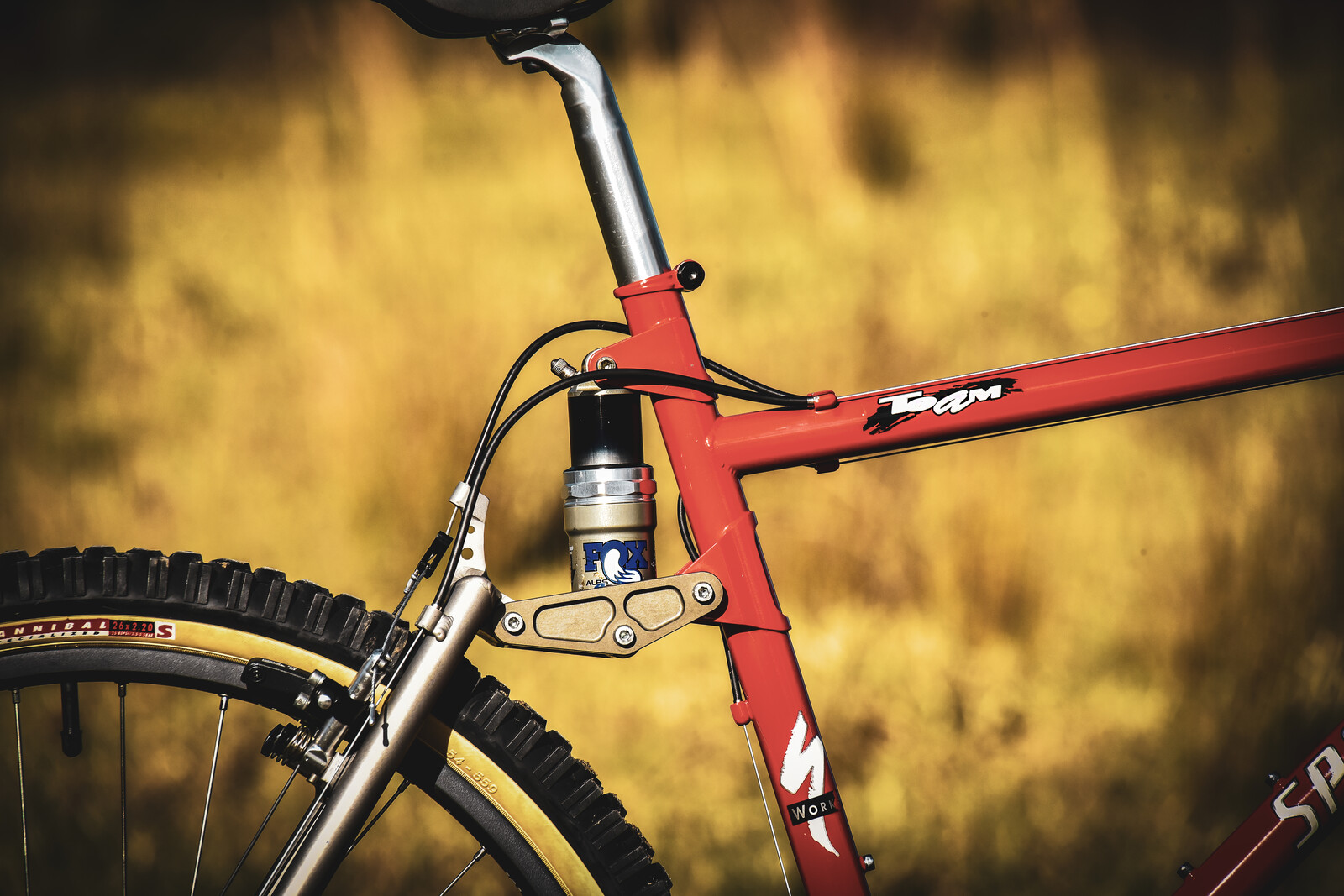 Jason McRoy's Specialized S-Works Team FSR - JDM's Bike Check - Vital MTB