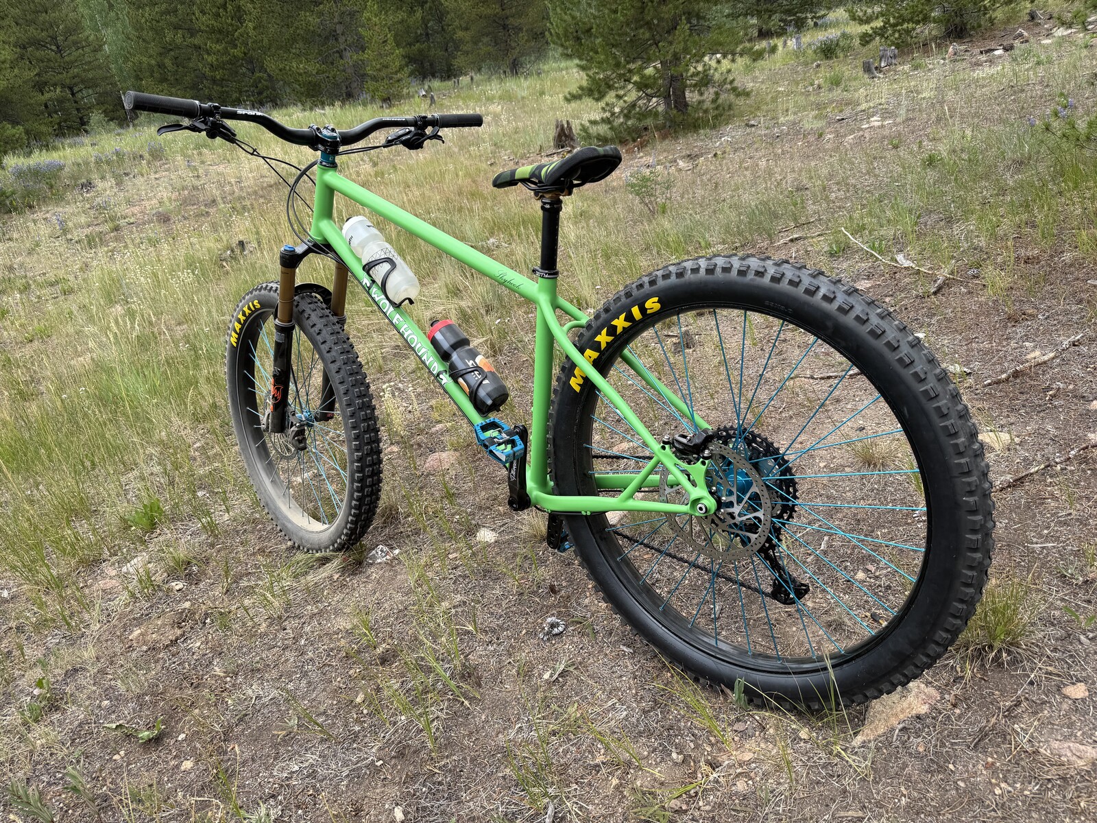 Wolfhound Cycles Custom Skyhook - maximumradness's Bike Check - Vital MTB