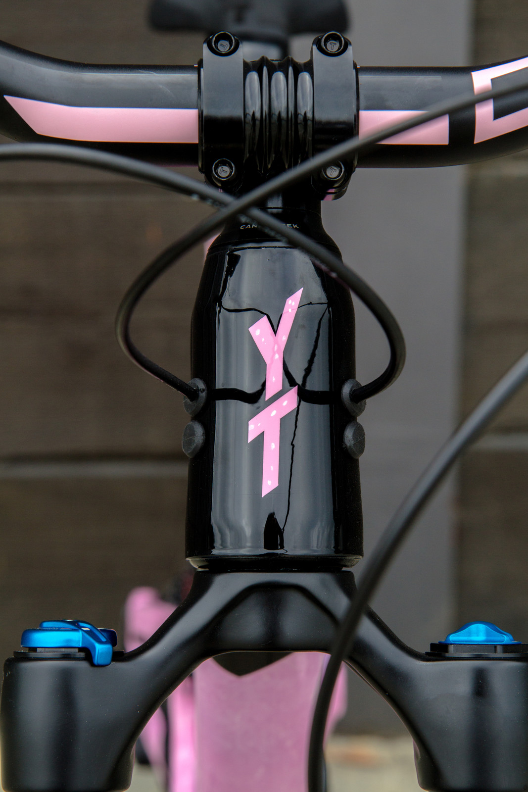 Versus Tires x Keep a Breast YT Capra - VersusTires's Bike Check ...