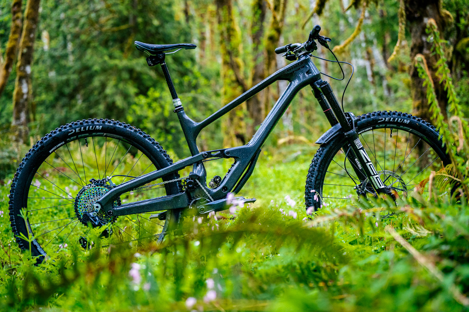 Heckle this Jekyll - Hollywood Gainey's Bike Check - Vital MTB