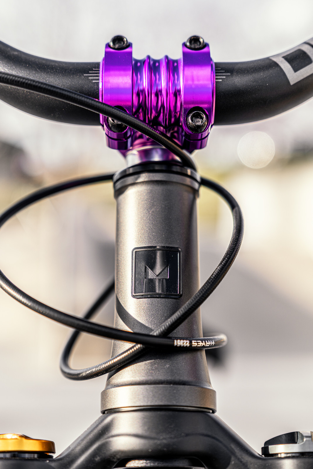 EVIL Faction 2 - Reesty's Bike Check - Vital MTB