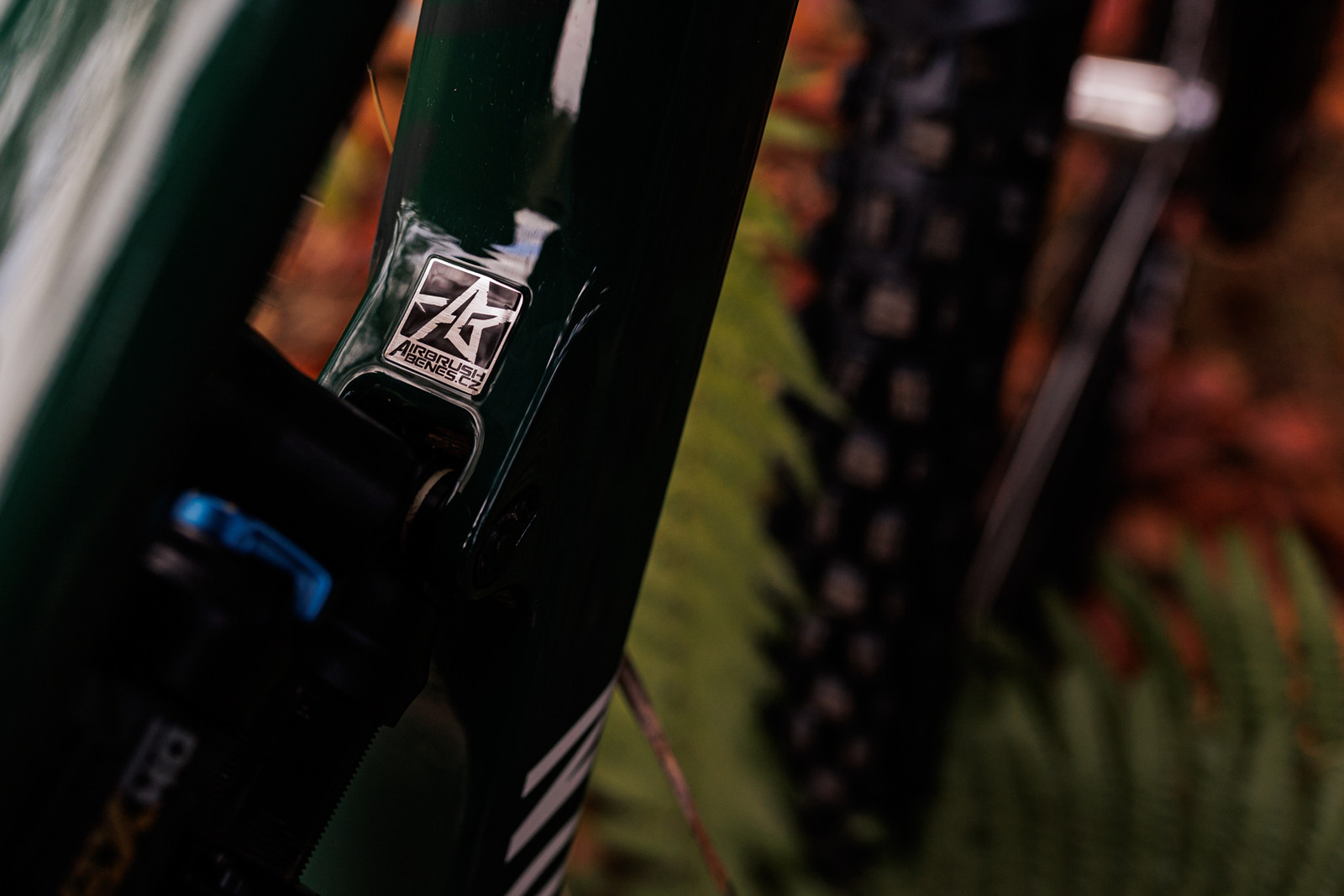 British Racing Mullet - mmm2ppp's Bike Check - Vital MTB