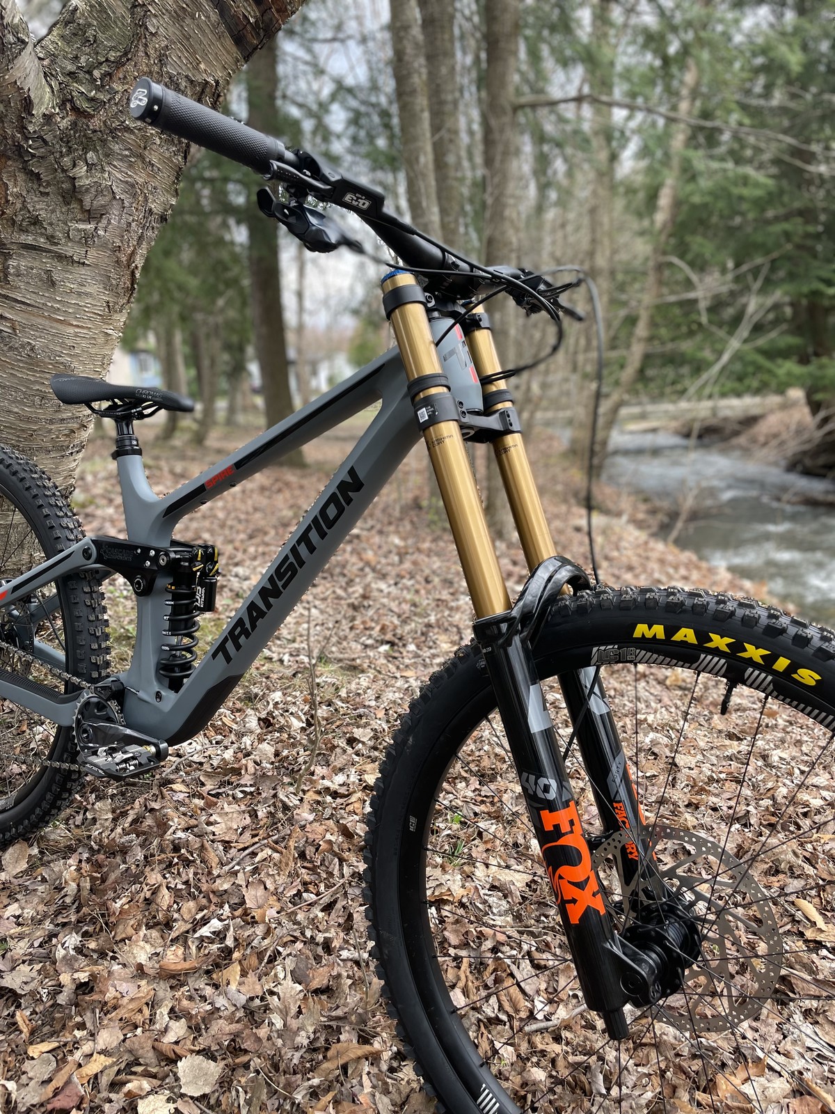 Transition Spire Carbon DH - max.b1's Bike Check - Vital MTB