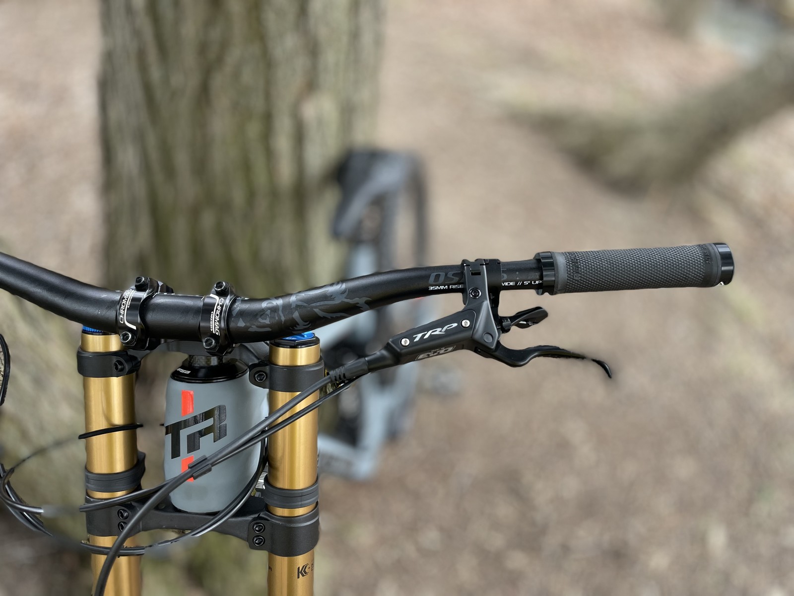 Transition Spire Carbon DH - max.b1's Bike Check - Vital MTB