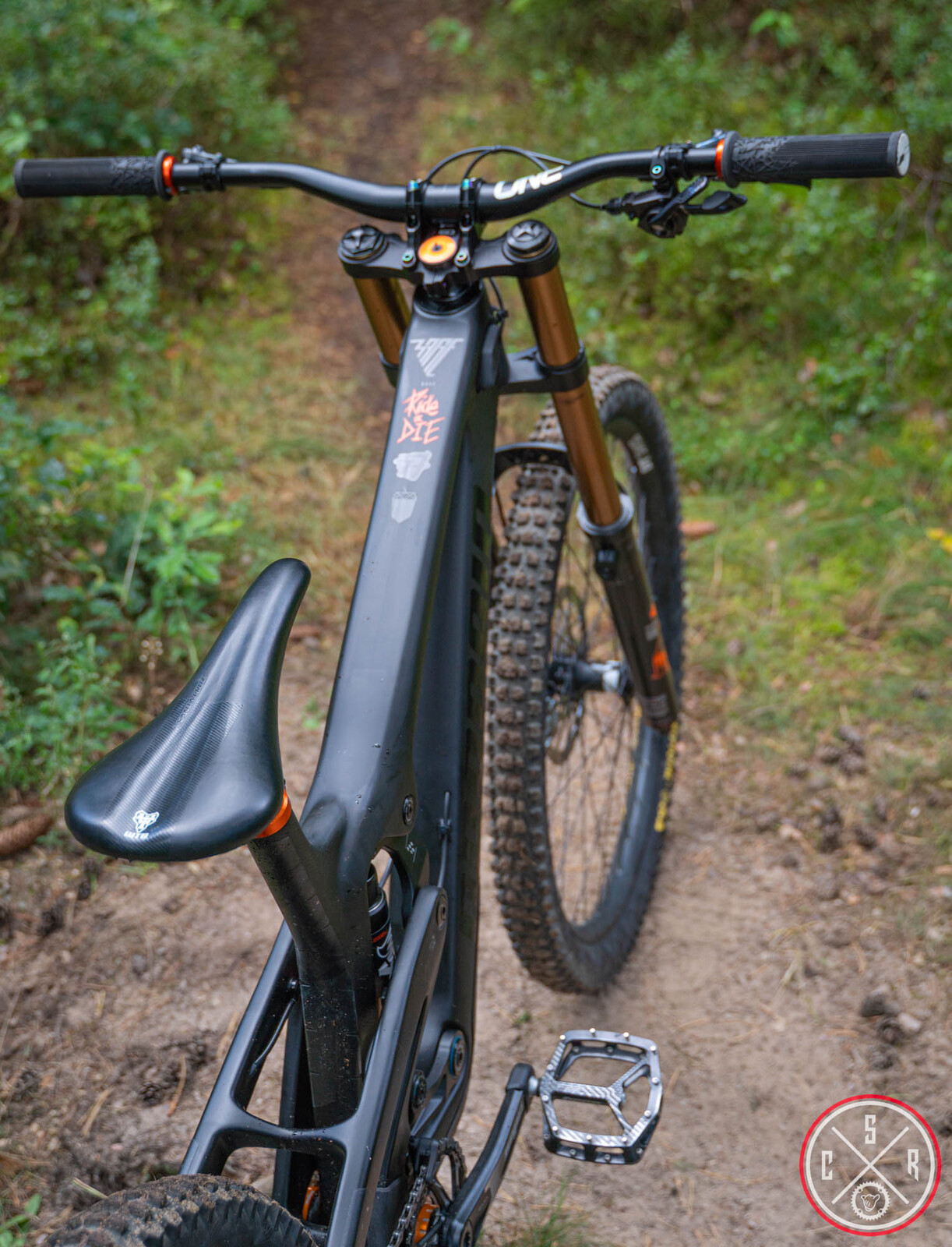 Customized Propain Rage 3 R CF 2025 - saintvsdiabolus's Bike Check ...