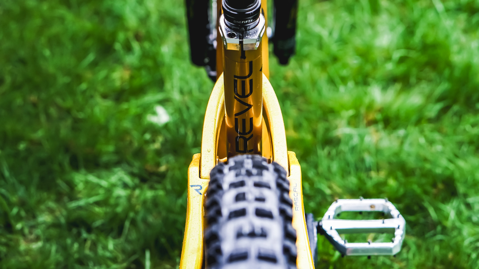 Custom Ponyboy Revel Rascal aka 'Goldilocks' - gold_007's Bike Check ...
