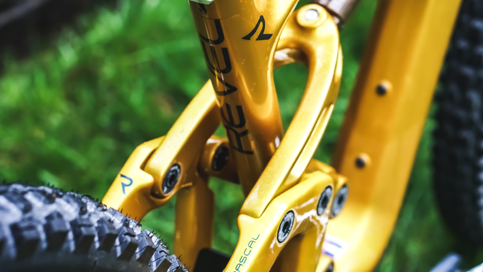 Custom Ponyboy Revel Rascal aka 'Goldilocks' - gold_007's Bike Check ...
