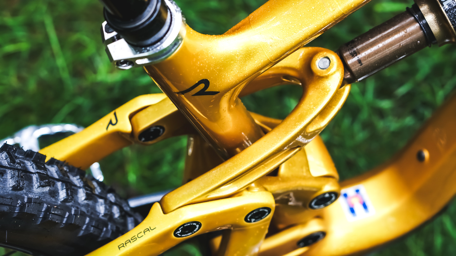 Custom Ponyboy Revel Rascal aka 'Goldilocks' - gold_007's Bike Check ...