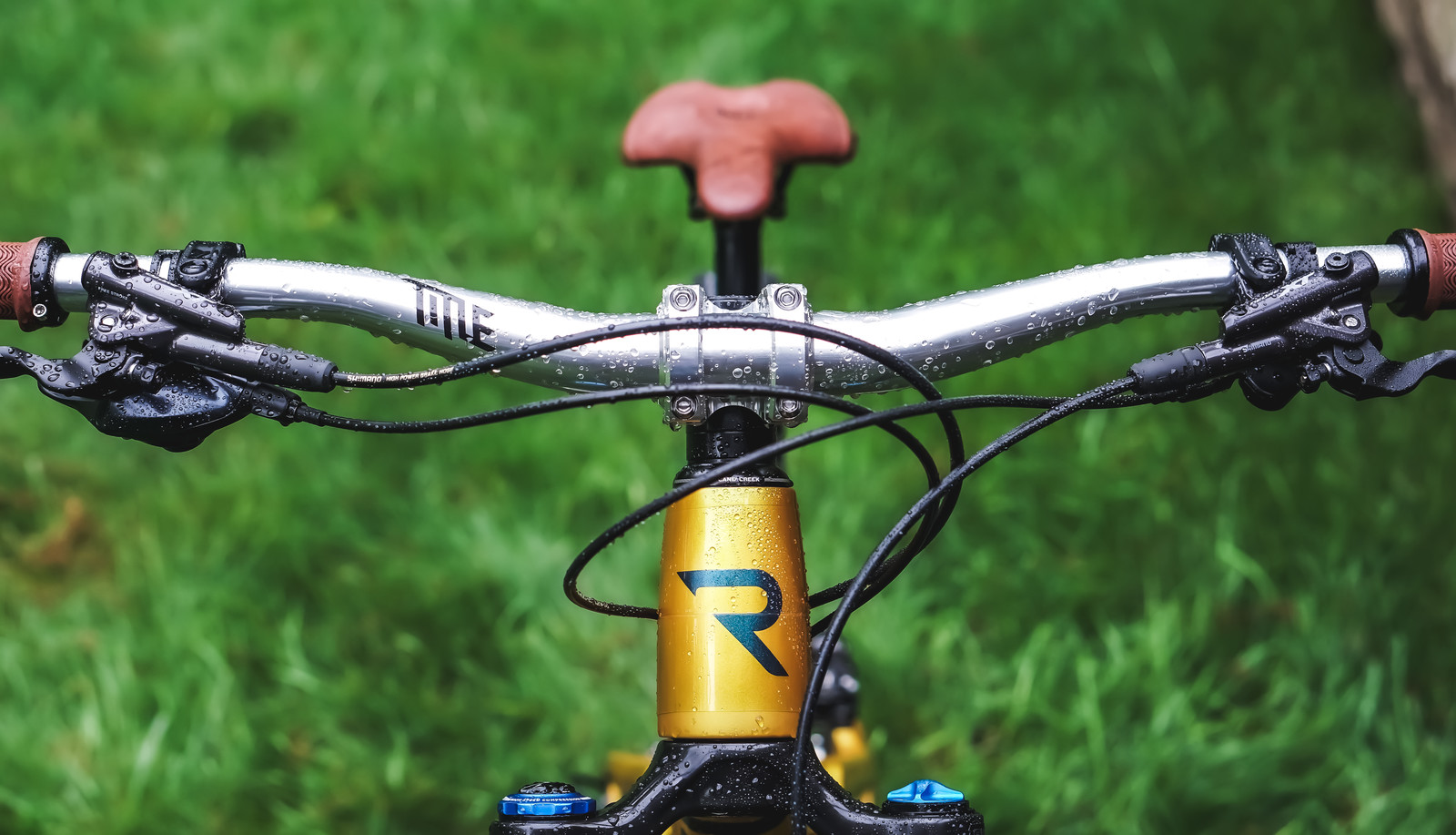 Custom Ponyboy Revel Rascal aka 'Goldilocks' - gold_007's Bike Check ...